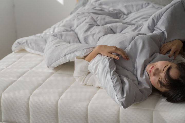 眠豆腐 – Sleepy Tofu